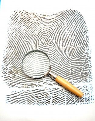 Les empreintes digitales et les traces papillaires - Police Scientifique